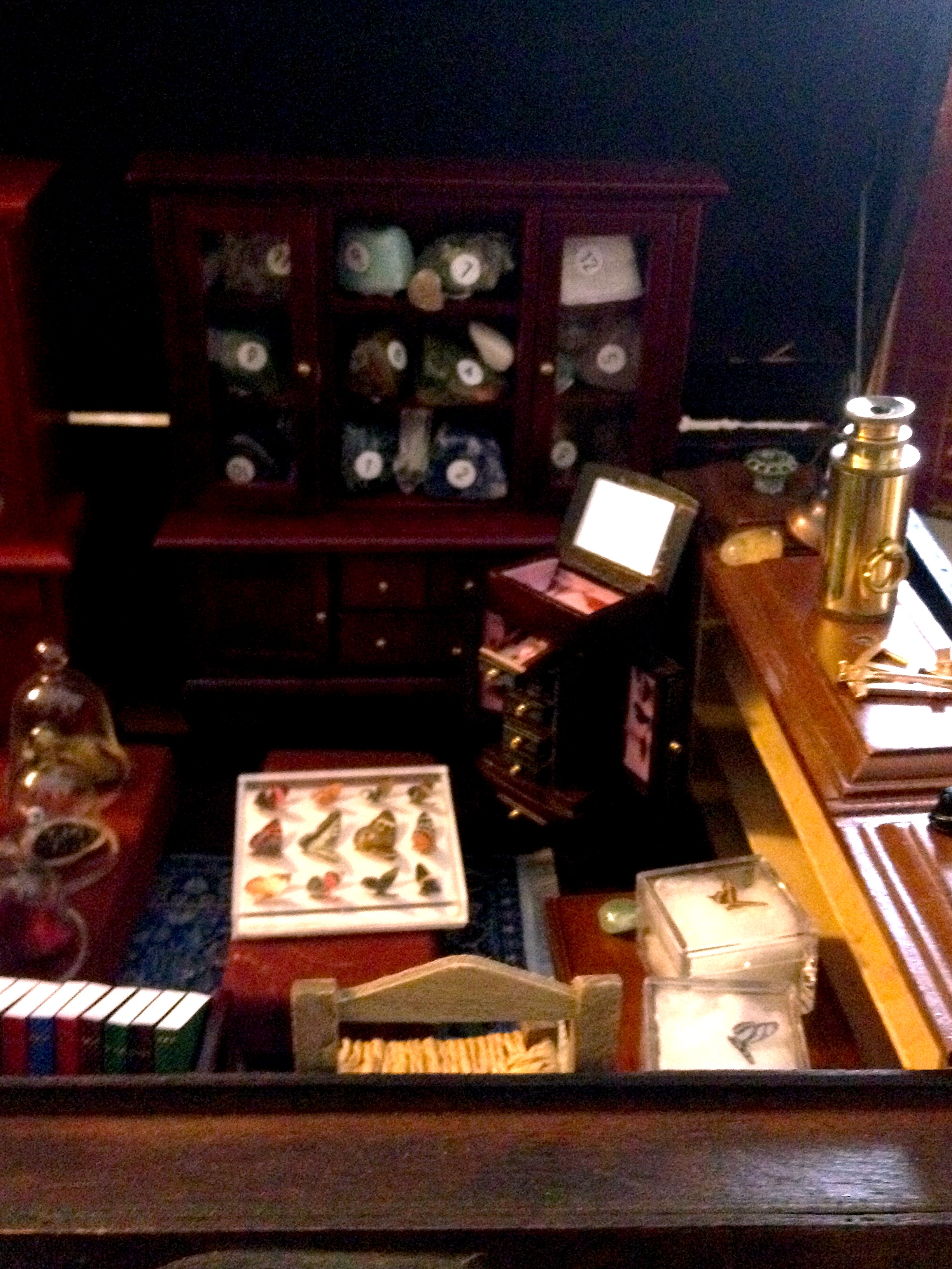 The Miniature Specimen Room – The Miniature Museum of Natural History ...