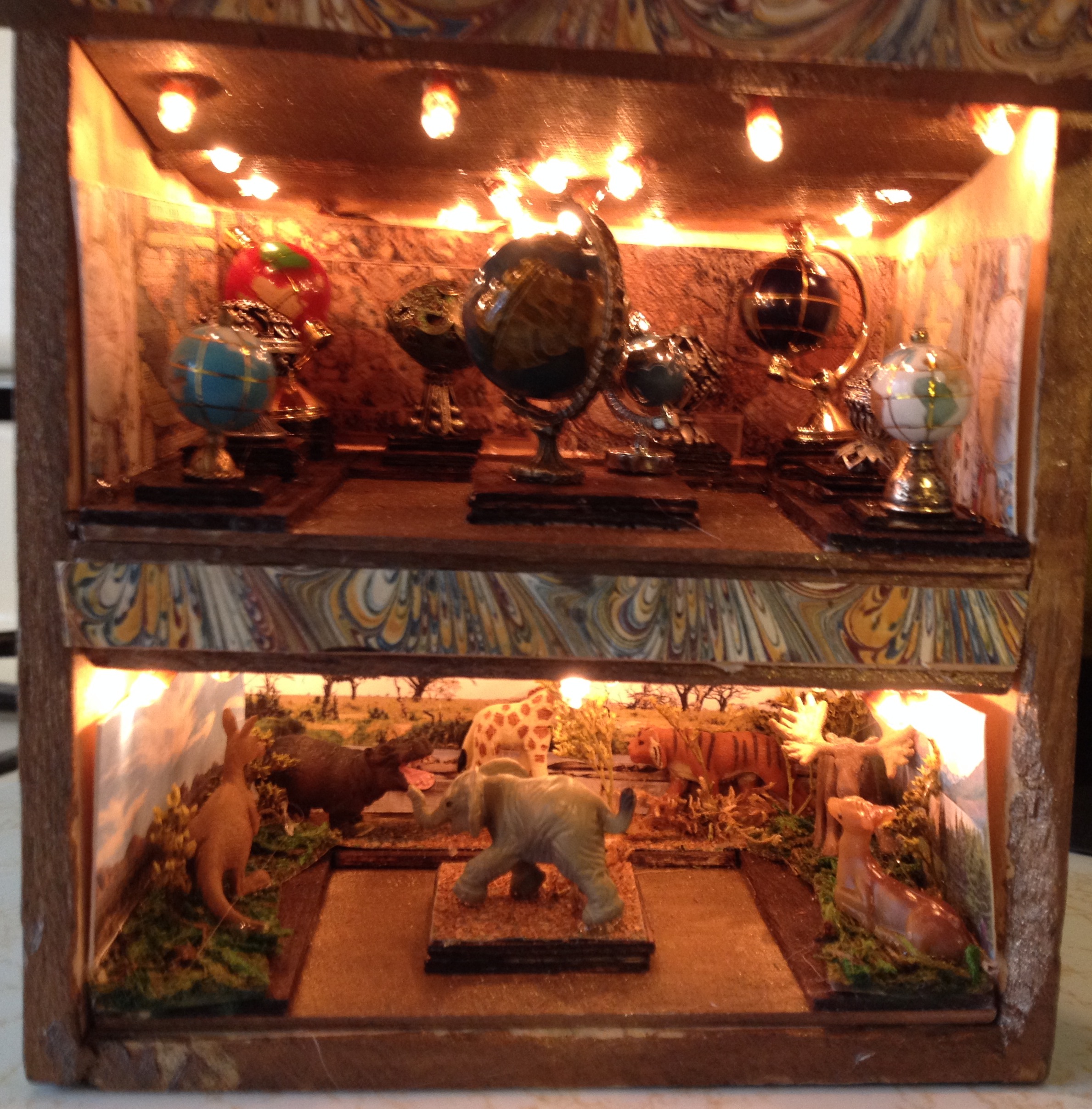 Micro Miniature Natural History Museum – The Miniature Museum of ...