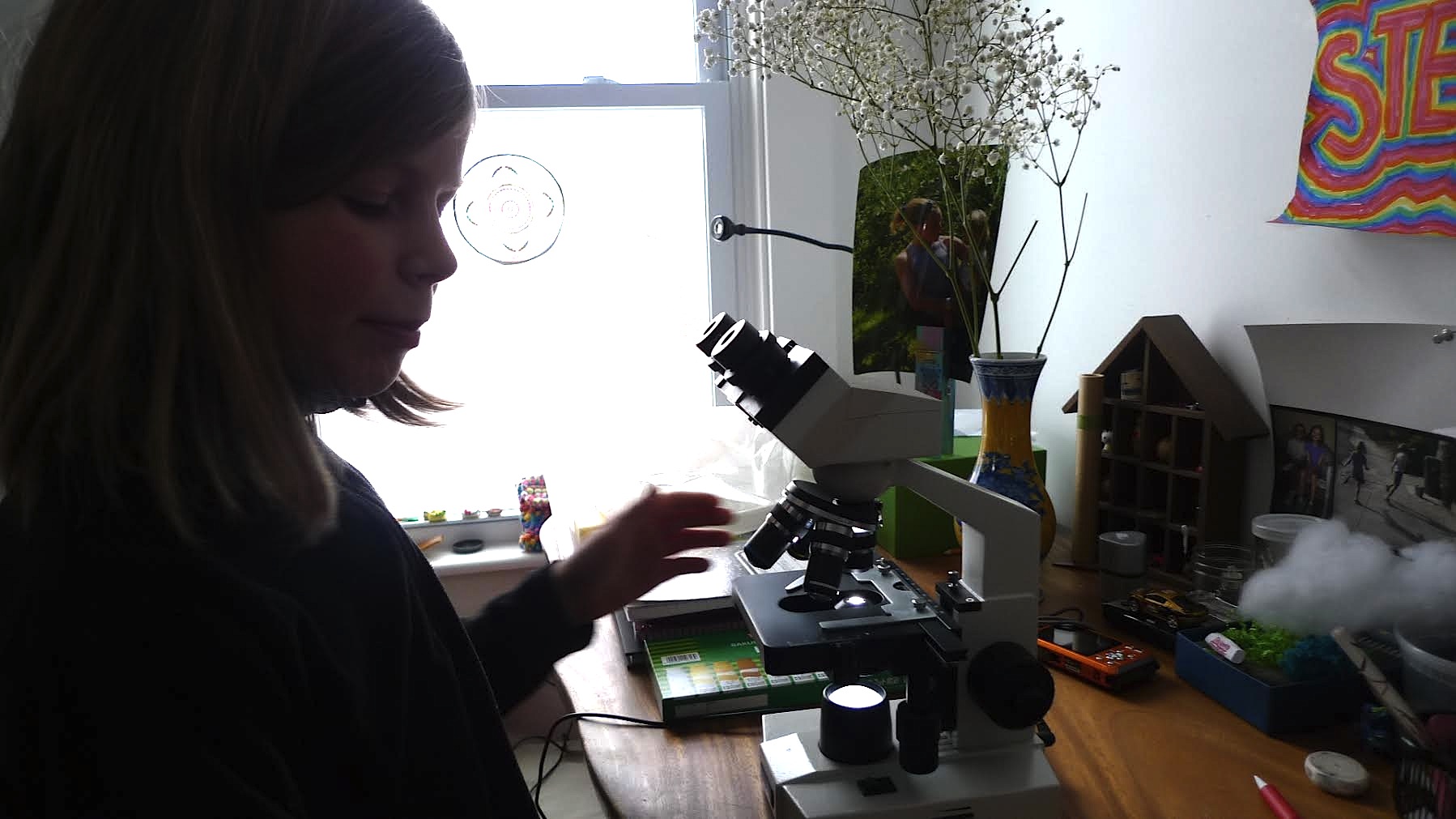 Stella’s Miniature Laboratory – The Miniature Museum of Natural History ...