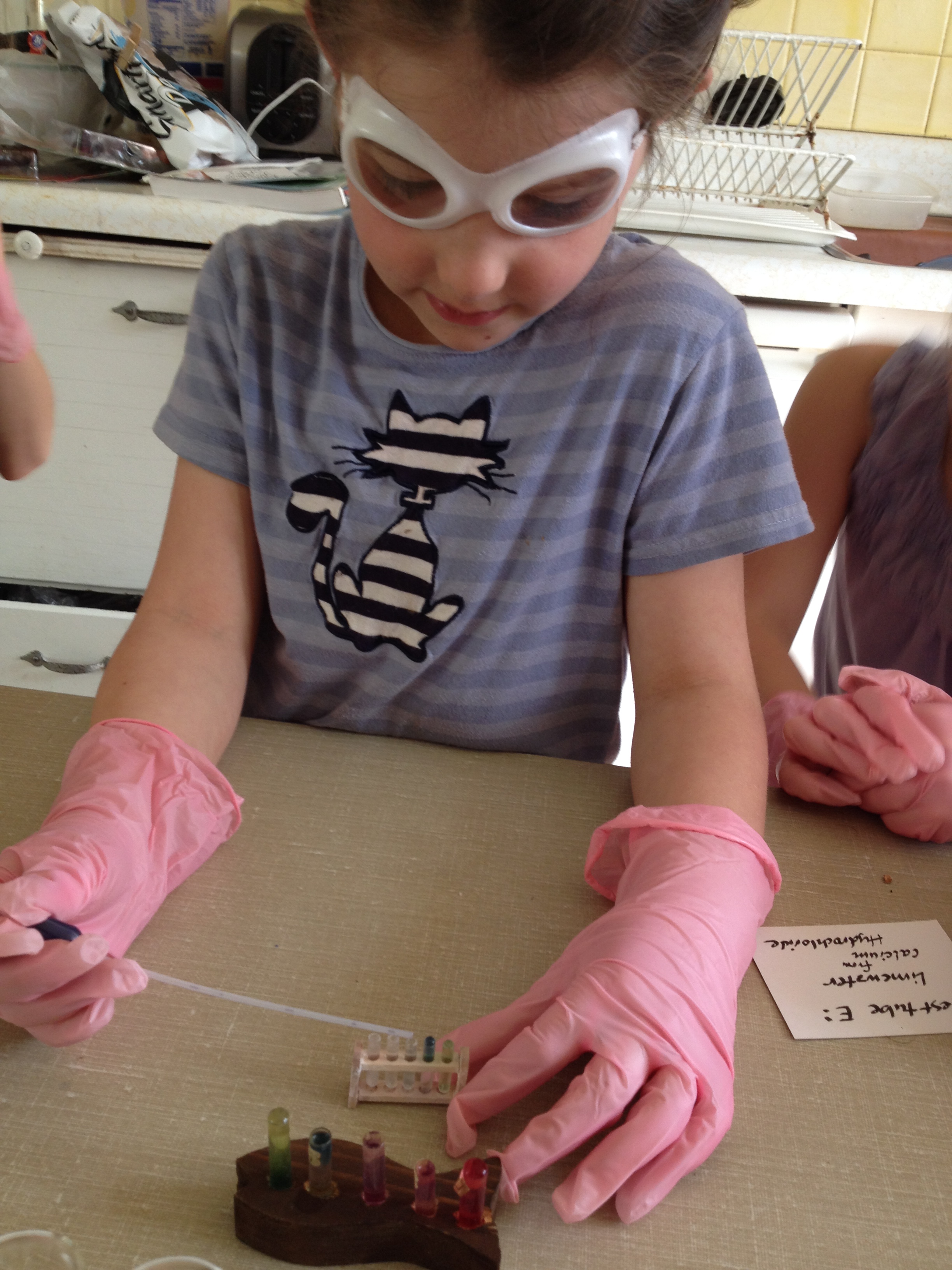 Tiny Experiments in the Miniature Laboratory – The Miniature Museum of ...