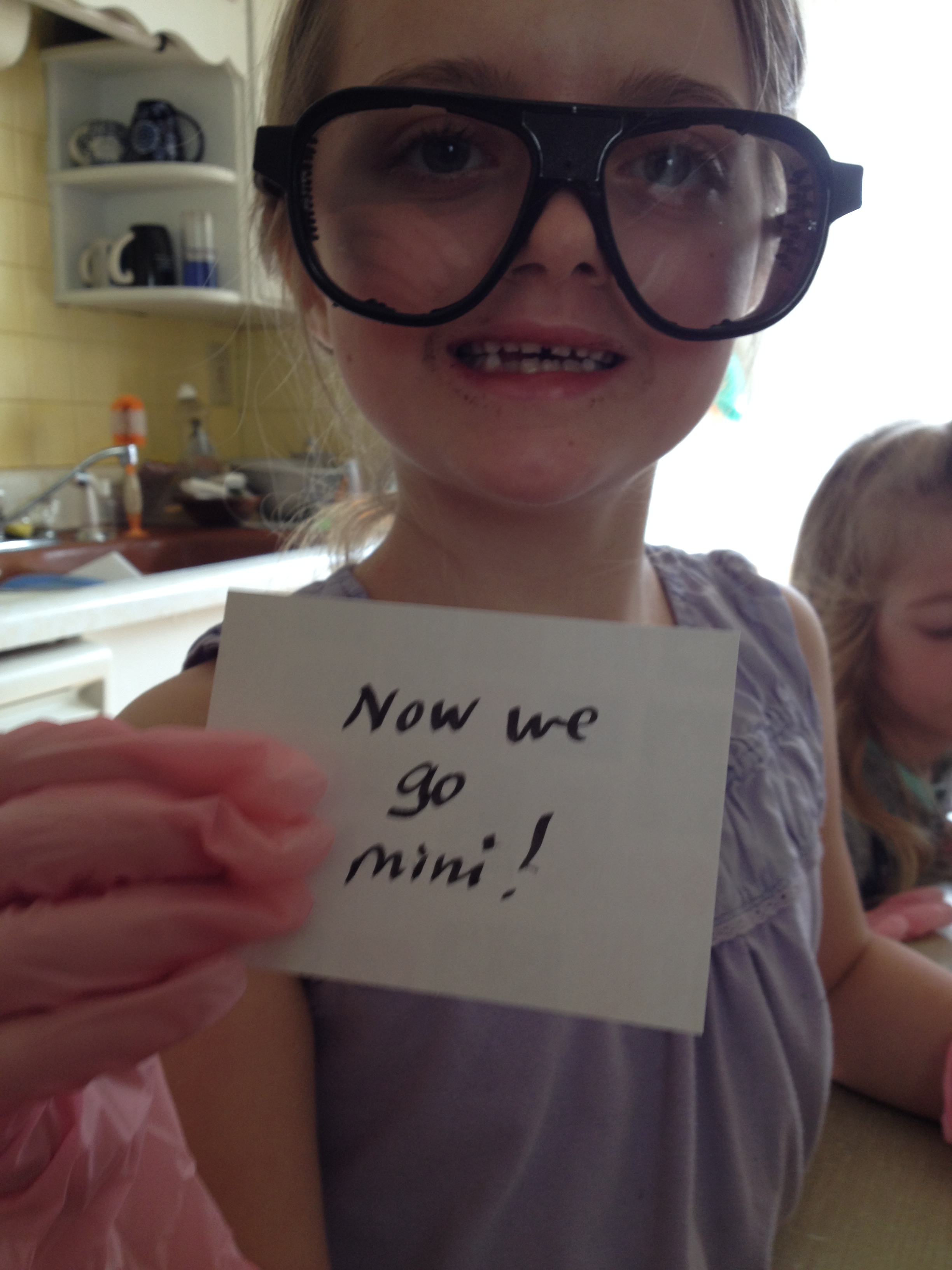 Tiny Experiments in the Miniature Laboratory – The Miniature Museum of ...